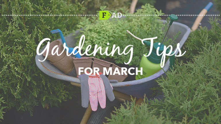 Gardening tips for March | Friday-Ad Blog